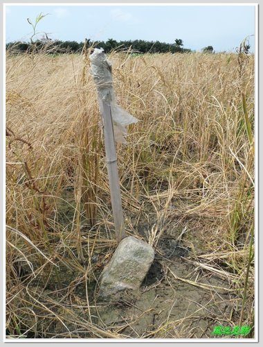 《一顆苦命的基石》--- 【七十分】變成【0分】了 - 登山補給站