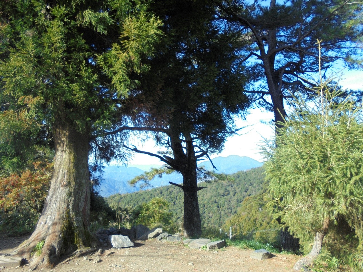 元旦奇萊南華 - 登山補給站